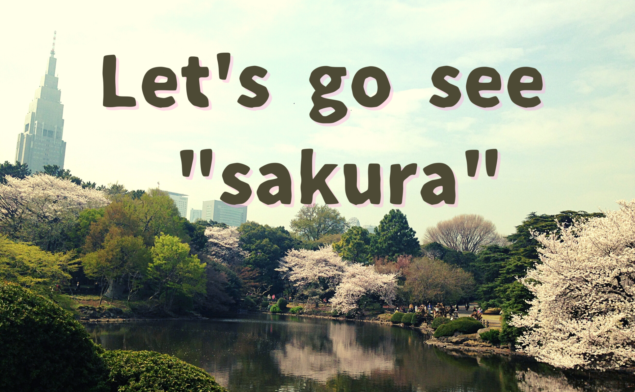 Let’s Go See Sakura: Cherry Blossom Season, Hanami Culture, and Best ...