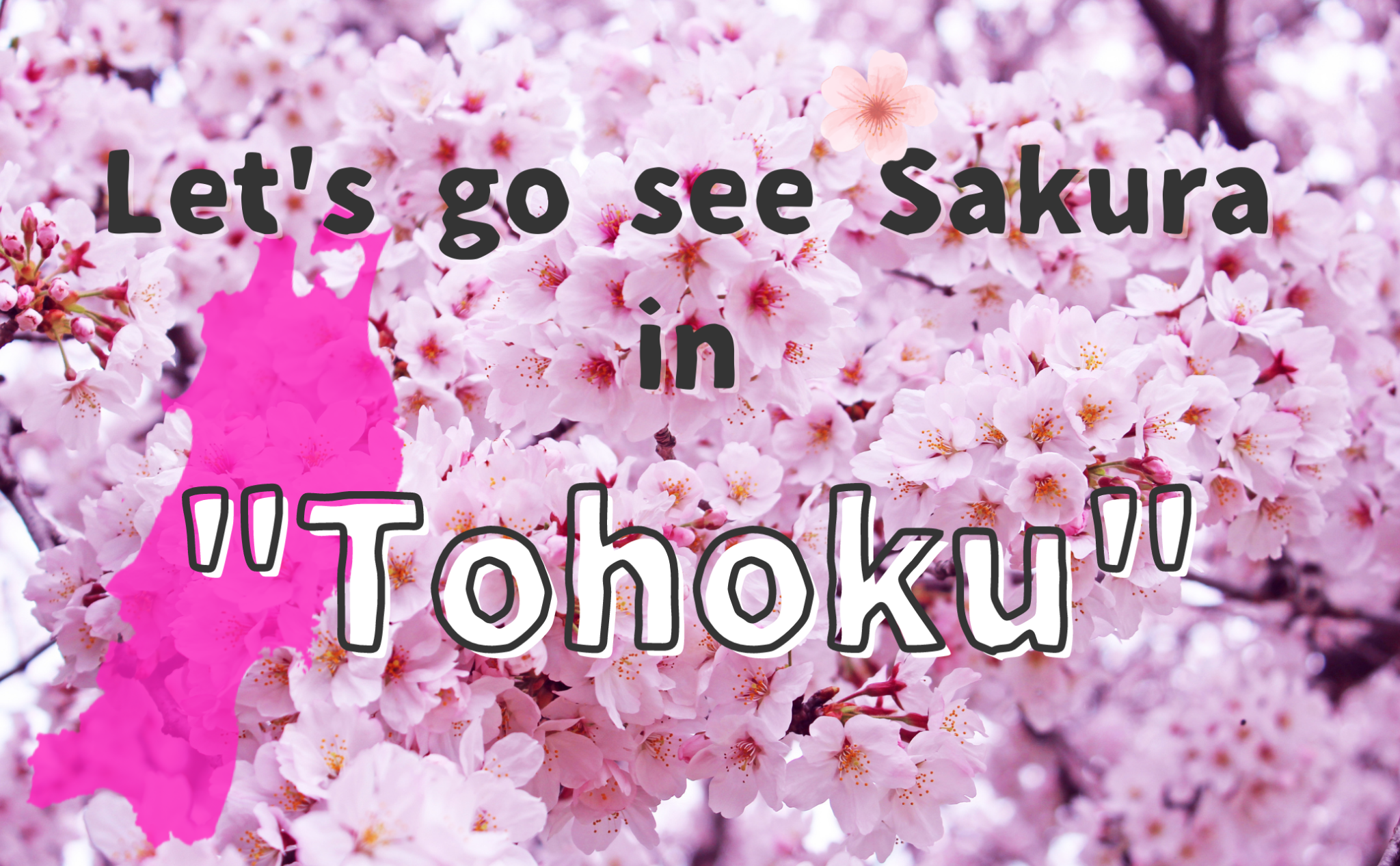 Let’s Go See Sakura in Tohoku: Late Cherry Blossom Spots and Hidden ...