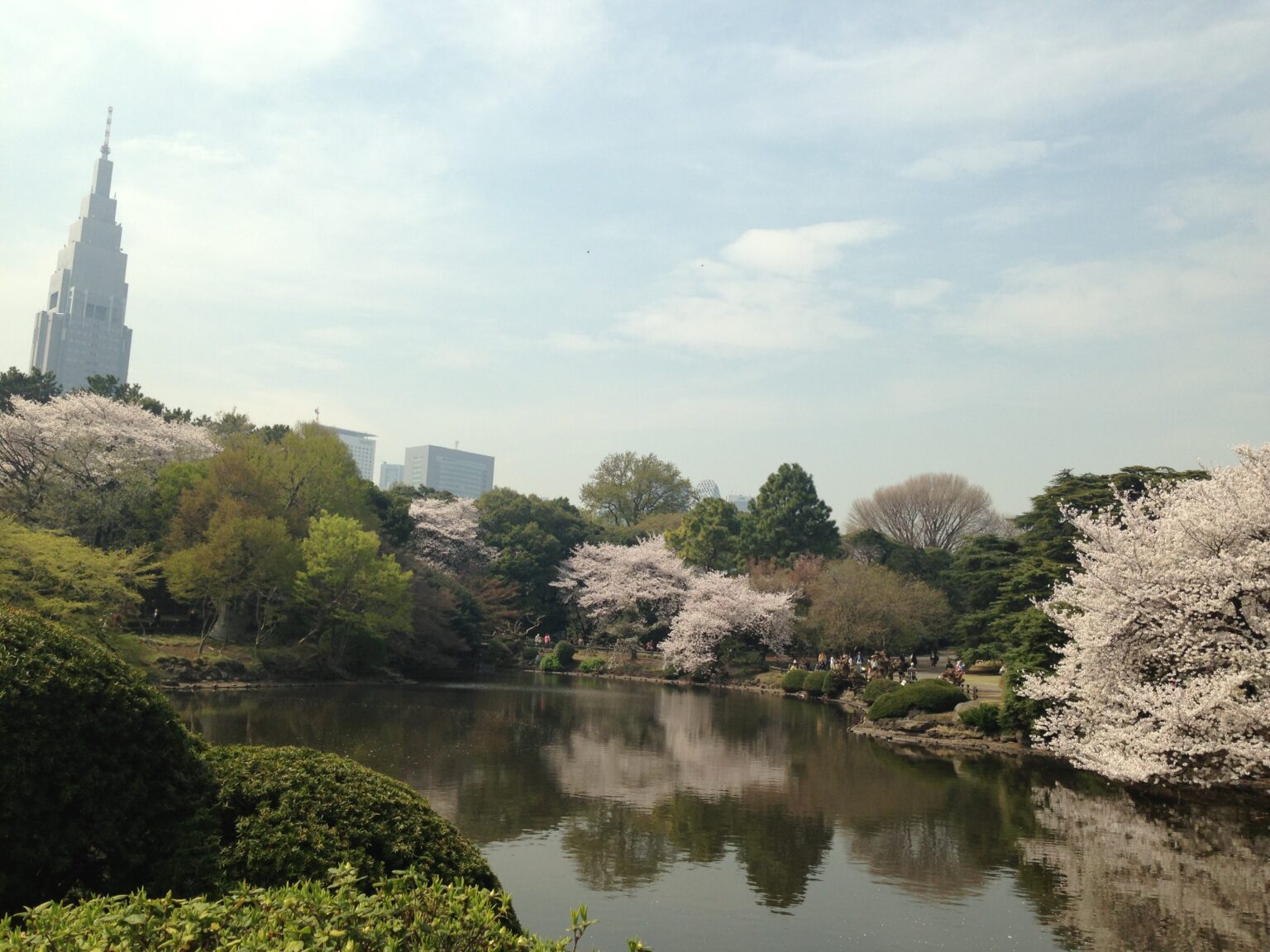 All about Shinjuku - Japan Sprinkles