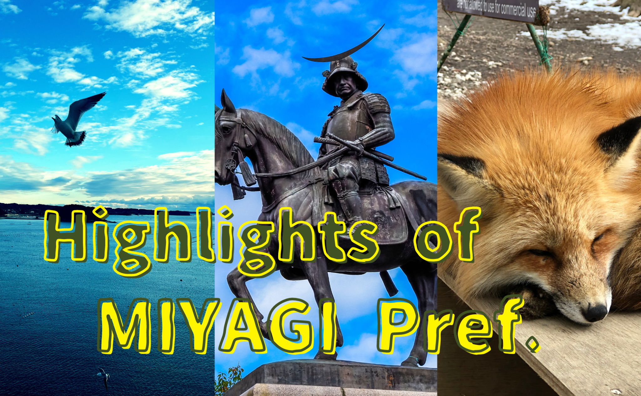 Highlights of Miyagi Prefecture - Japan Sprinkles