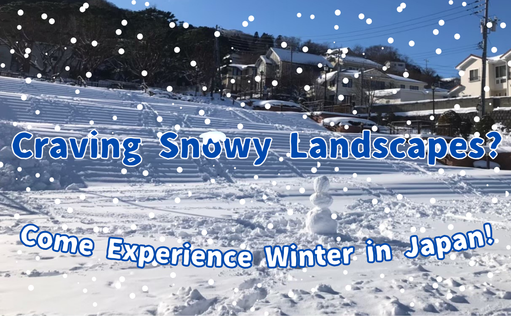 Craving Snowy Landscapes? Come Experience Winter in Japan! - Japan ...