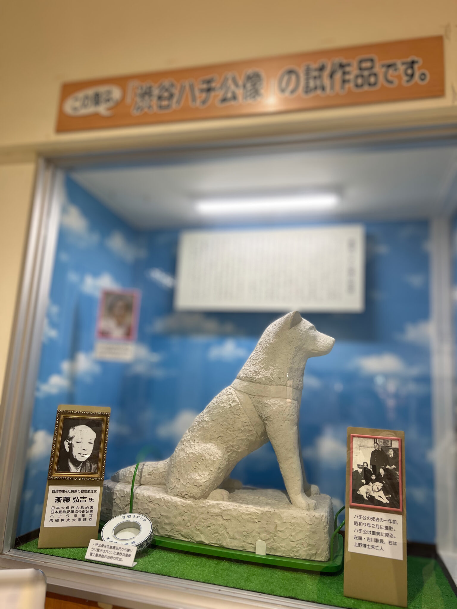 Hachiko: An Endearing Tale - Japan Sprinkles